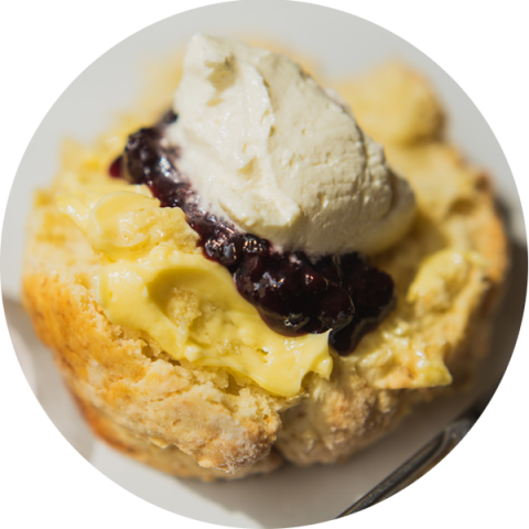 Butter All Day – We're butter together